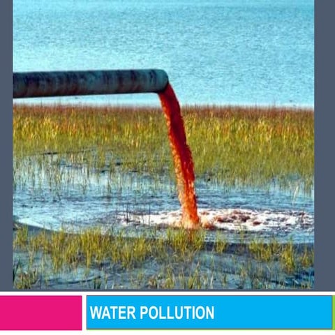 Water pollution | PPTX