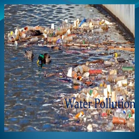 Water pollution- Sources and Causes | PPTX