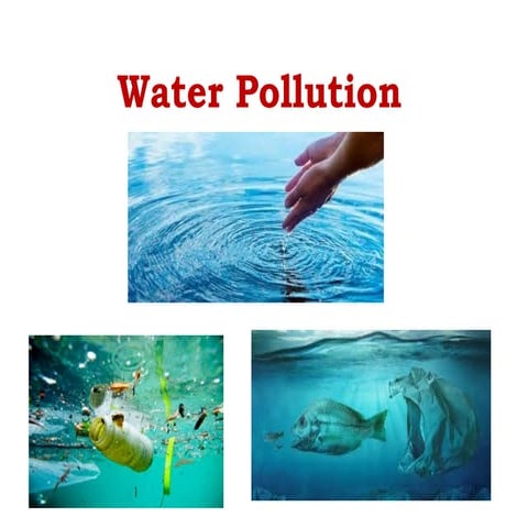 HEAVY METALS, PESTICIDE AND ITS EFFECT | PPTX