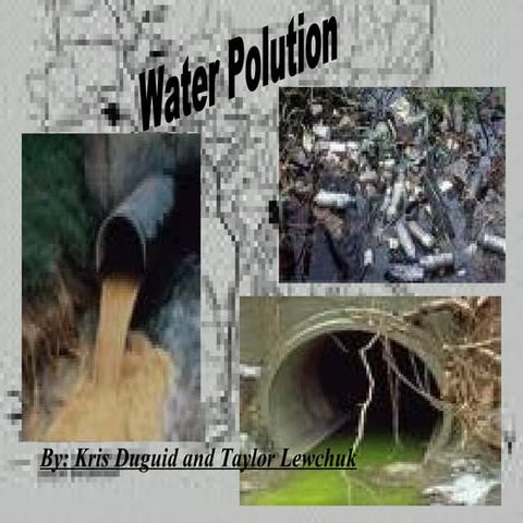 Water pollution 2 | PPT | Indoor Environmental Quality | Home & Garden