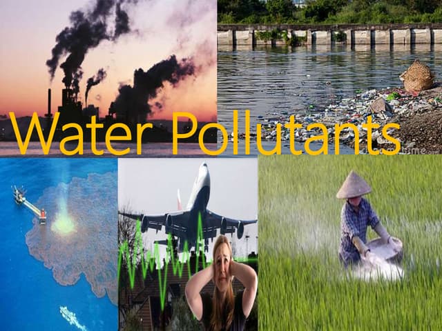 Water pollution- Sources and Causes | PPTX