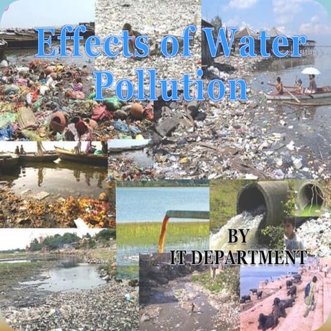 Water pollution effects | PPTX