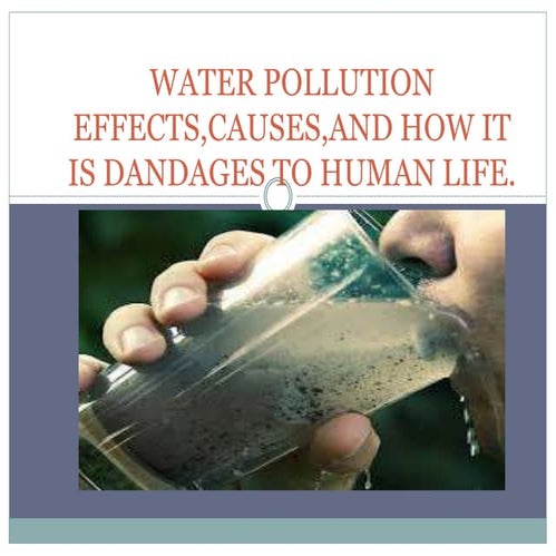 Water pollution effects,causes,and how it is dandages to human life. | PPTX