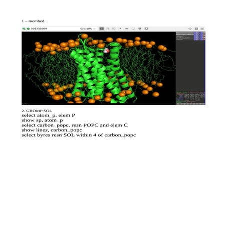 Membrane protein-ligand tutorial with GROMACS.pdf