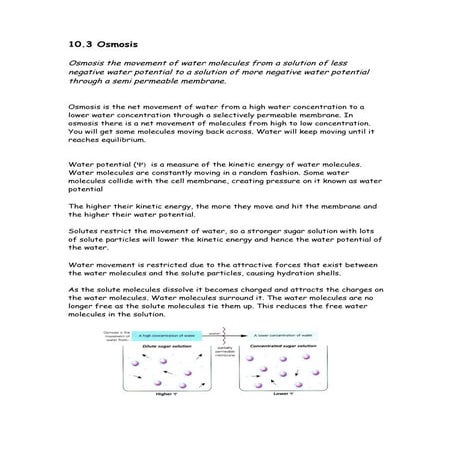 Water potential (osmosis) extension | PDF
