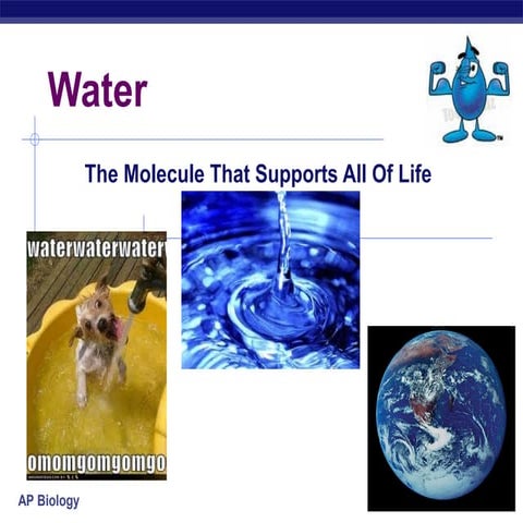 Water | PPT