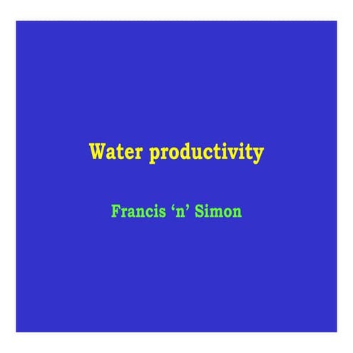 Water Productivity | PDF