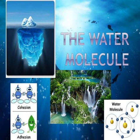 Water properties ppt | PPTX