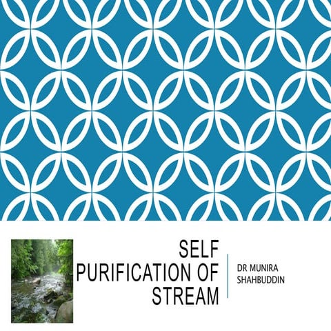 02 - Stream & Effluent standards, Oxygen sag curve, Self Purification.pptx