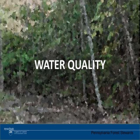 Forests and Water Quality | PPTX