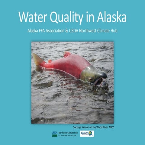 Water Quality in Alaska Material - Presentation | PDF