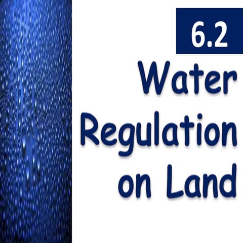 ECOLOGY: CHAPTER 16 :Water regulation on land | PPT