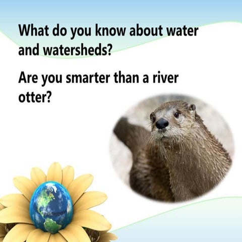 Watershed quiz | PPTX