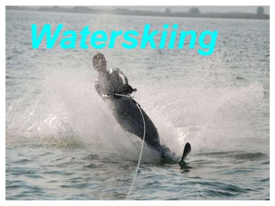 Water skiing powerpoint | PPTX