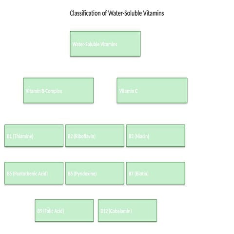 Water_Soluble_Vitamins_Flowchart vit.pptx