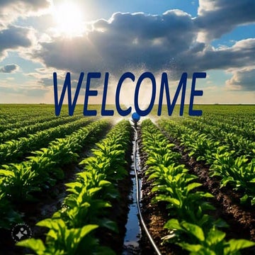 Water Use Efficiency and mineral and role | PPTX