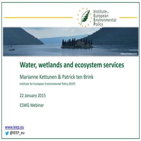 Water wetlands ecosystem services | PPTX