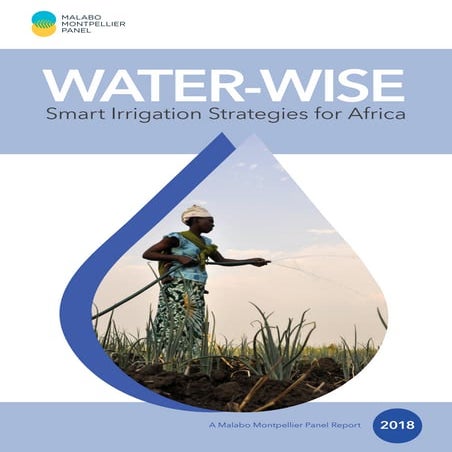 Water wise Smart Irrigation Strategies for Africa 2018 | PDF