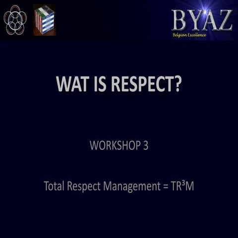 Total Respect Management - Towards sustainable safety and performance ...
