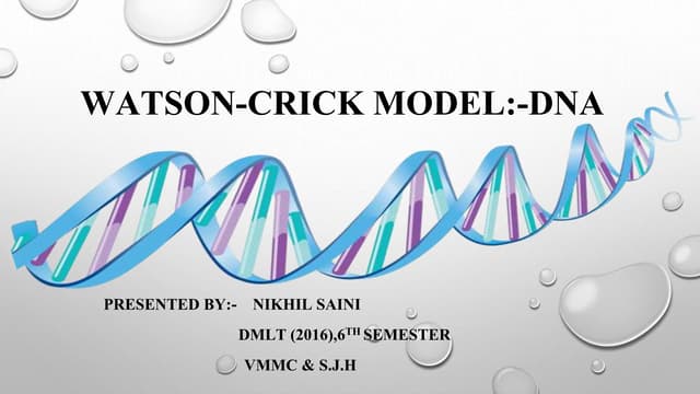 Watson and crick model of dna | PPTX