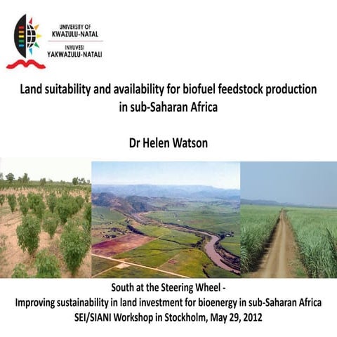 Land suitability and availability for biofuel feedstock production in ...