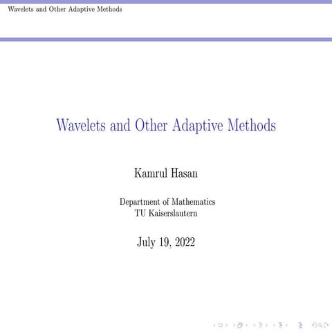Wavelets and Other Adaptive Methods | PDF