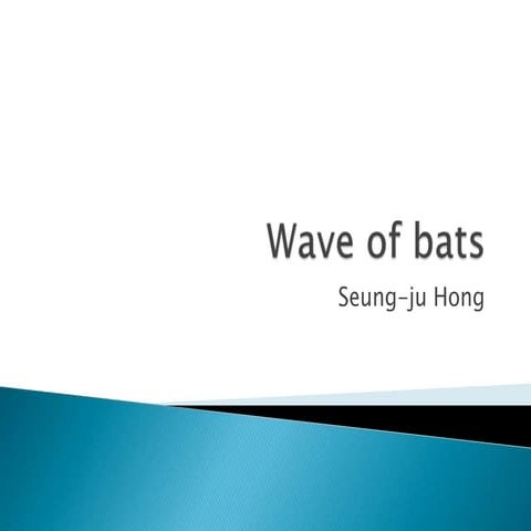 Wave of bats project | PPTX