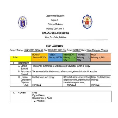 WAVES Grade 7 Daily lesson log presentation.docx
