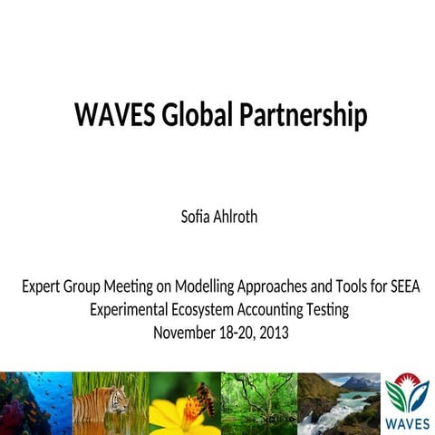 WAVES Global Partnership AND SOLUTIONS PPT.ppt