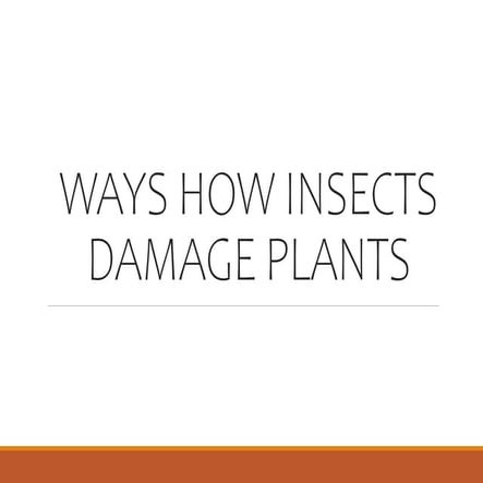 WAYS HOW INSECTS DAMAGE PLANTS.pptx