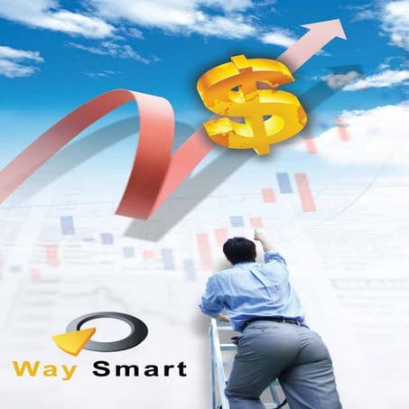 Waysmart brochure2 | PDF