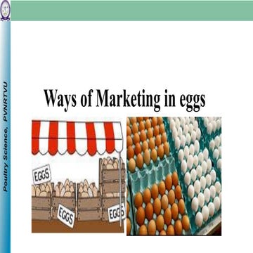 Ways of marketing in eggs | PPT