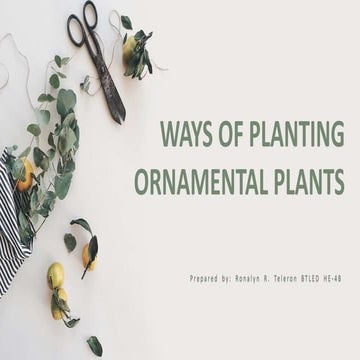 WAYS OF PLANTING ORNAMENTAL-WPS Office.pptx | Gardening | Home & Garden