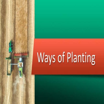 Ways of planting | PPT