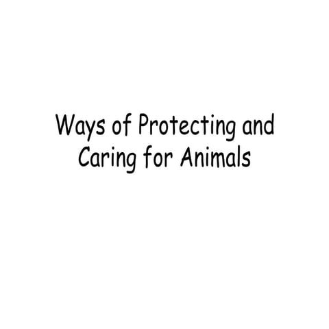 Ways of protecting and caring for animals | PPTX