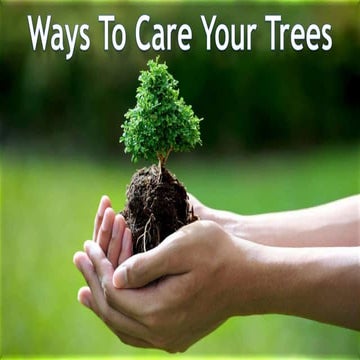 Ways To Care Your Trees | PPTX