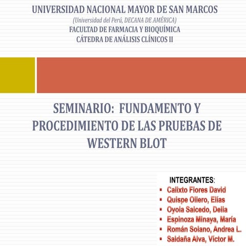 Fundamento Y Procedimiento De Las Pruebas De Western Blot Pptx
