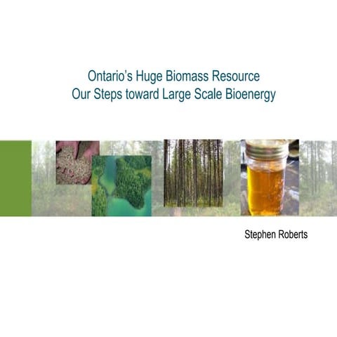 Wb2010 Stephen Roberts Ontario Final | PPT