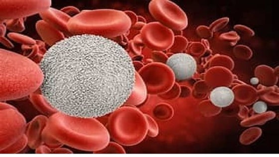 Hematology -WBCs.ppt• Definitions and classifications of tumors (benign ...