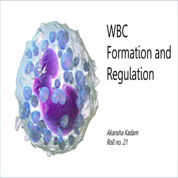 WBC Formation and Regulation physiology. | PPTX