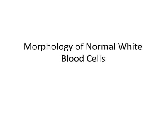 Wbc & platelets anomalies | PPTX | Blood Disorders | Diseases and ...