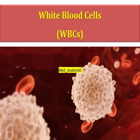 White Blood Cells | PPTX