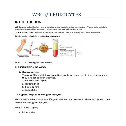 White Blood Cells or WBC's | PDF
