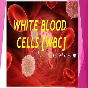 White blood cells [wbc] | PPTX