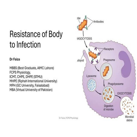Motility of large intestine_Mass movement and defecation | PDF