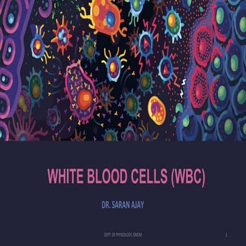 White Blood Cells | PPT