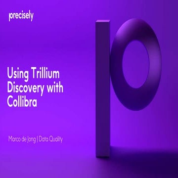 Trillium Discovery for Collibra | PPTX