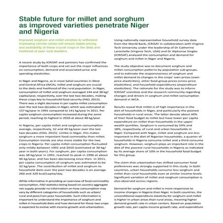 Stable future for millet and sorghum as improved varieties penetrate Niger and Nigeria | PDF ...
