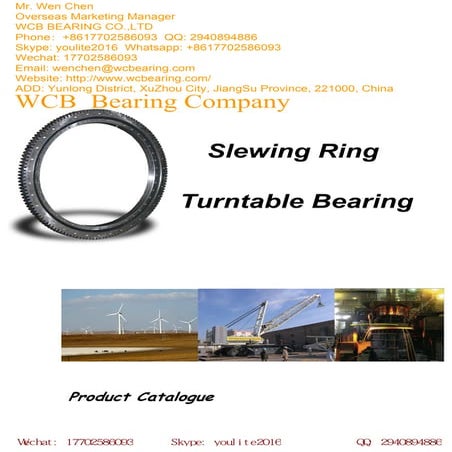 WCB slewing bearing models | PDF