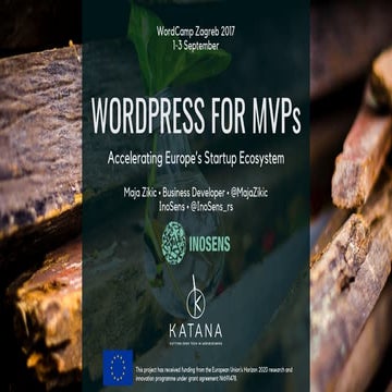 Wordpress For Mvps Accelerating Europes Startup Ecosystem Ppt